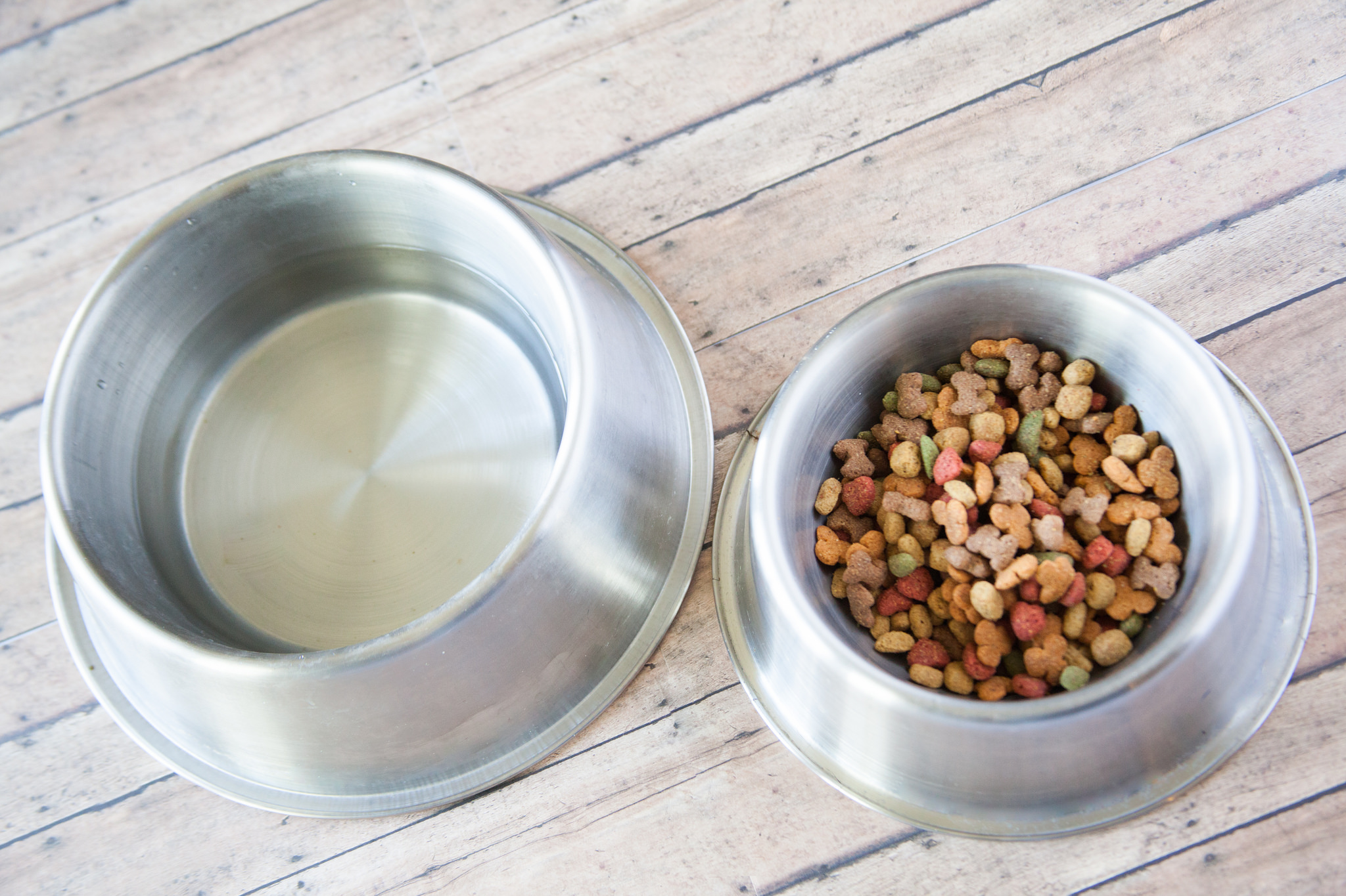 26 100 Free Dog Food Samples By Mail LushDollar 26 100 Free Dog Food Samples By Mail LushDollar