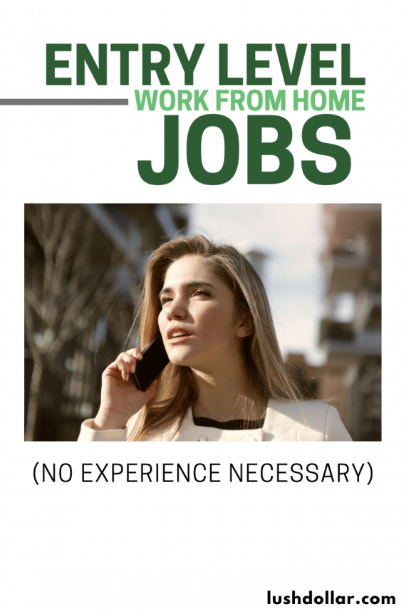 18+ Best Entry Level Work from Home Jobs (Now Hiring)