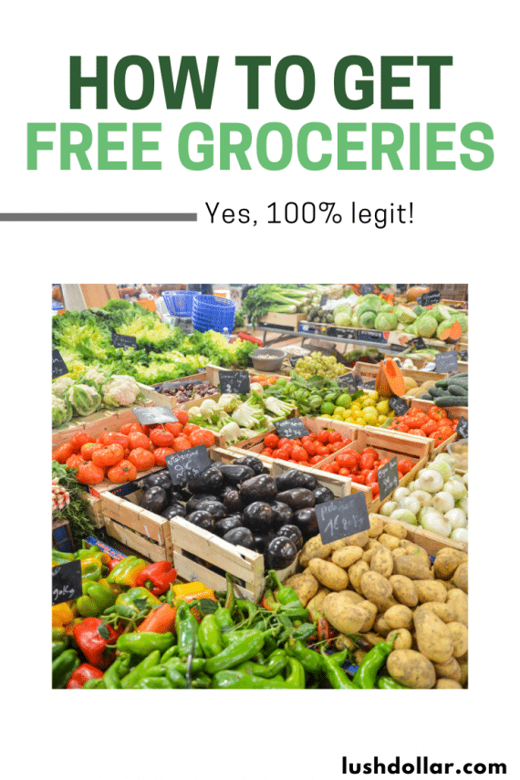 How to Get Free Groceries (100% Legit)