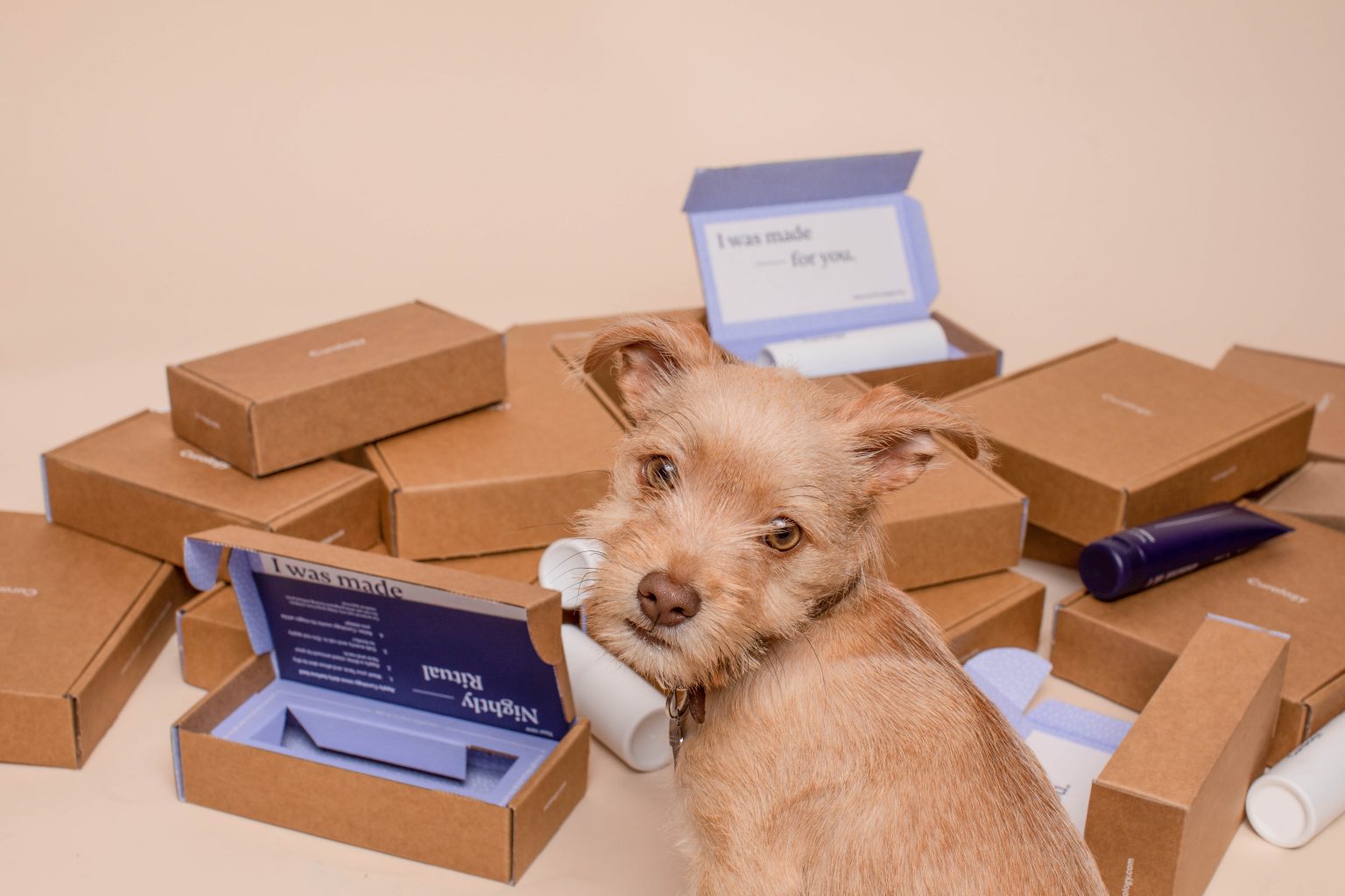 Free Sample Boxes! Who Wants One? 19+ Options