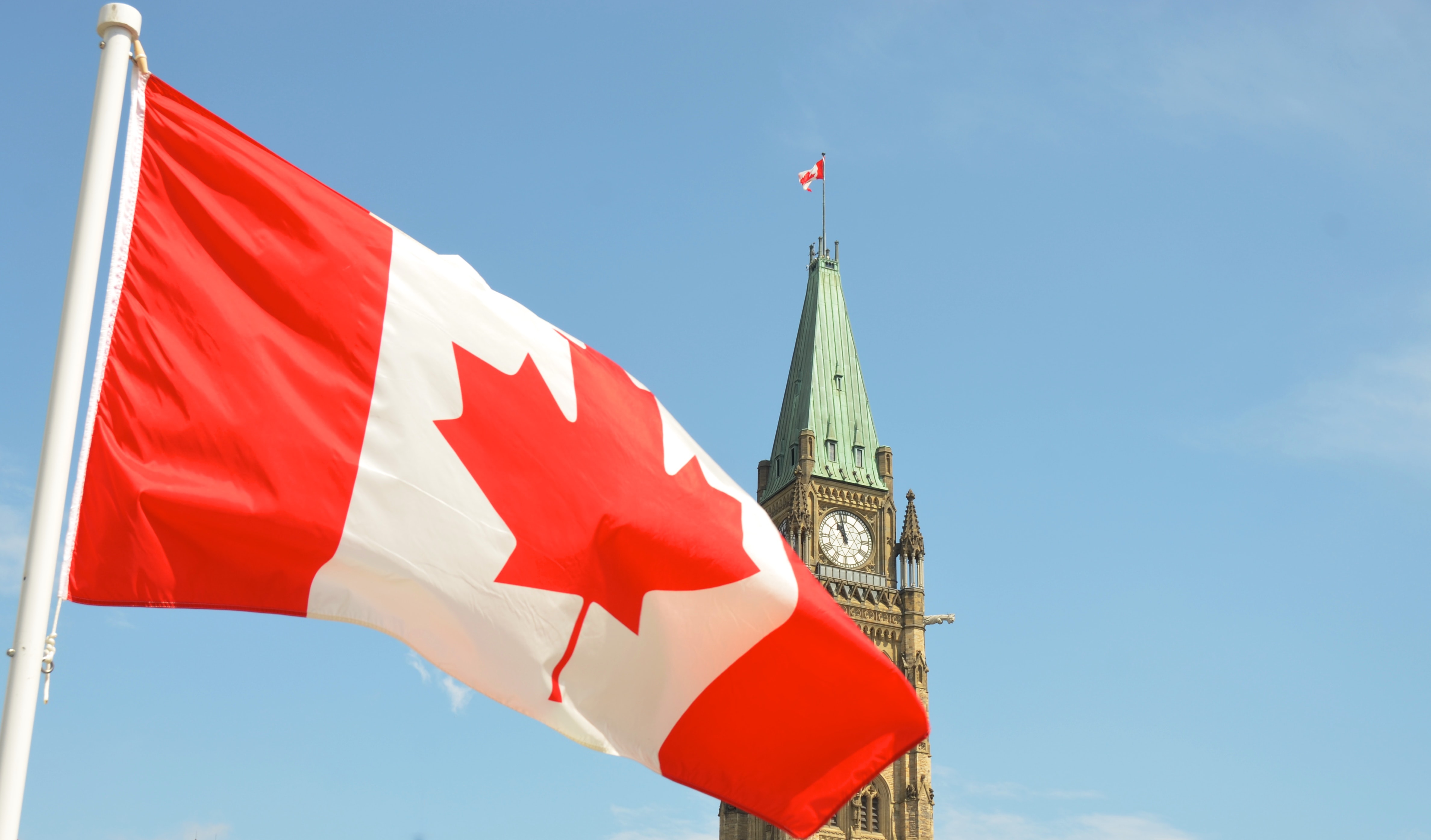 Best 20 Online Surveys For Money In Canada 2022 LushDollar Best 20 Online Surveys For Money In Canada 2022 LushDollar